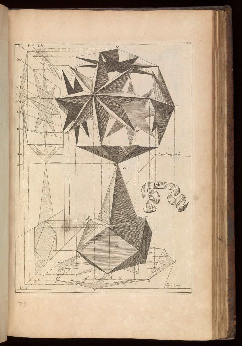 Folding Wonders: Exploring the Fascinating Types of Origami